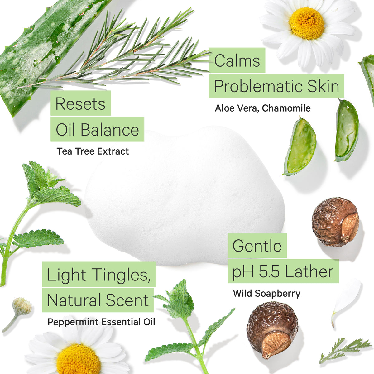 Peppermint Face Wash for Sensitive Skin | Tree to Tub – Tree To Tub
